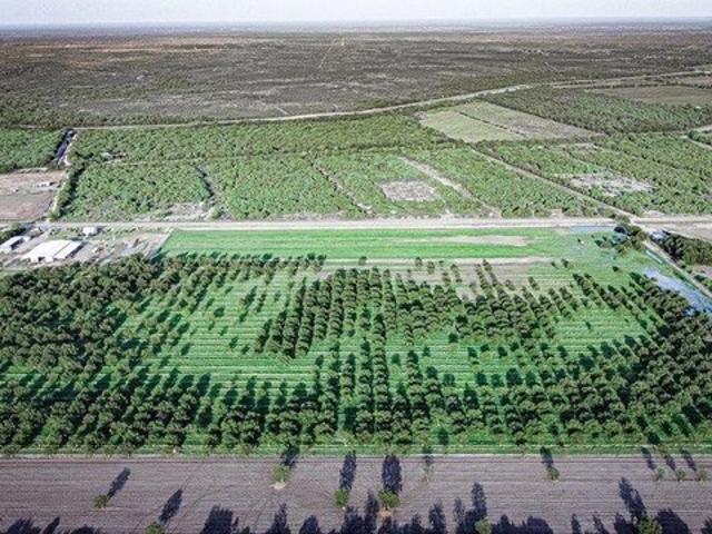 Fm 1908 Lot C, Quemado, TX 78877