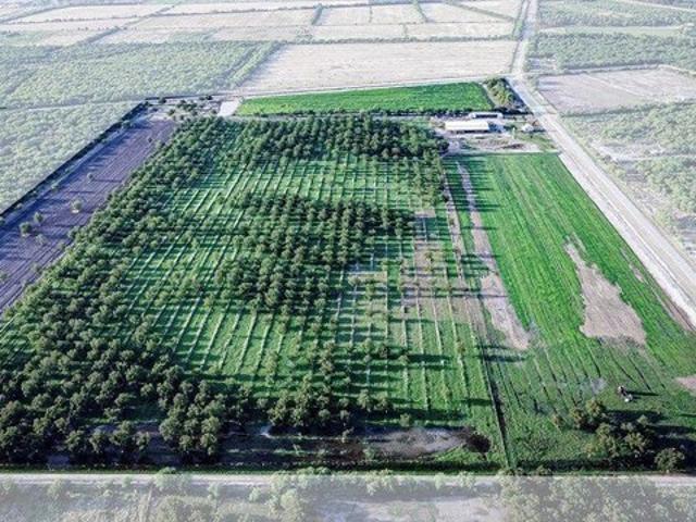 Fm 1908 Lot D, Quemado, TX 78877