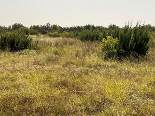Fm 1929, Paint Rock, TX 76866