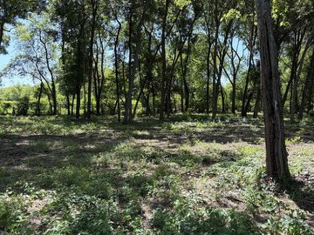 Fm 1970, Carthage, TX 75633