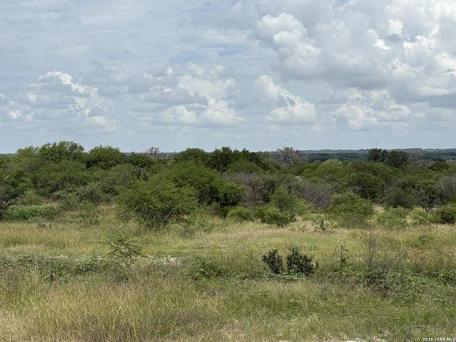 Fm 2102, Kenedy, TX 78119