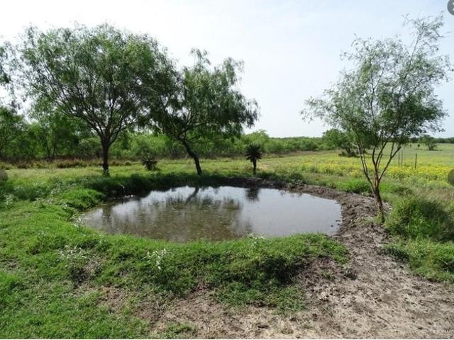 Fm 2294, San Isidro, TX 78588