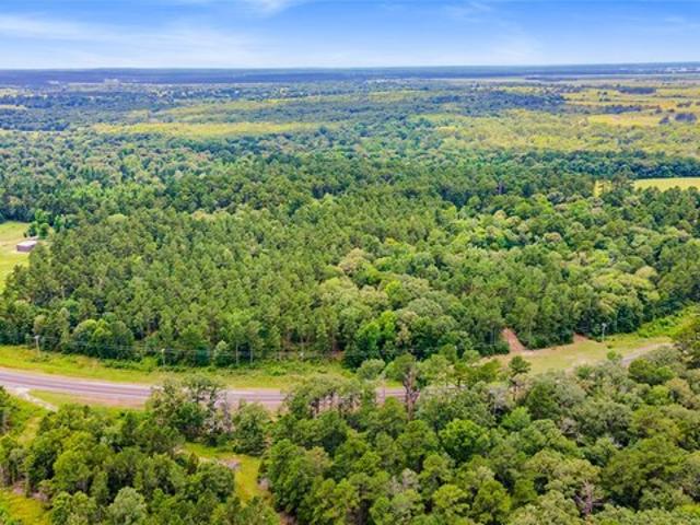 Fm 230, Trinity, TX 75862