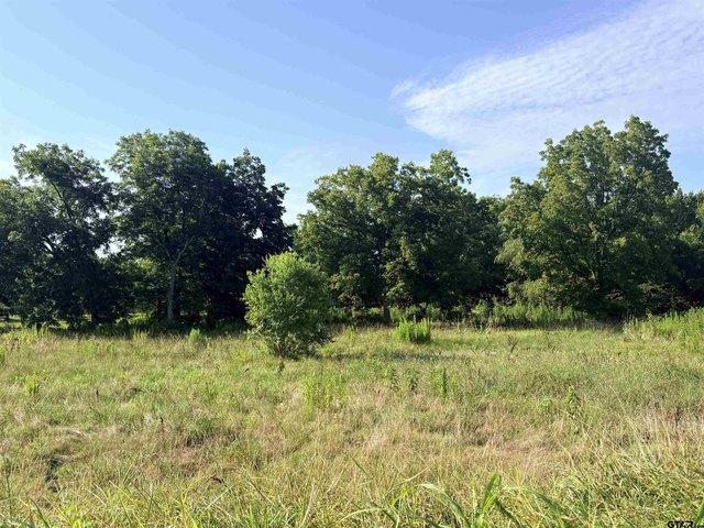 Fm 2493, Bullard, TX 75757