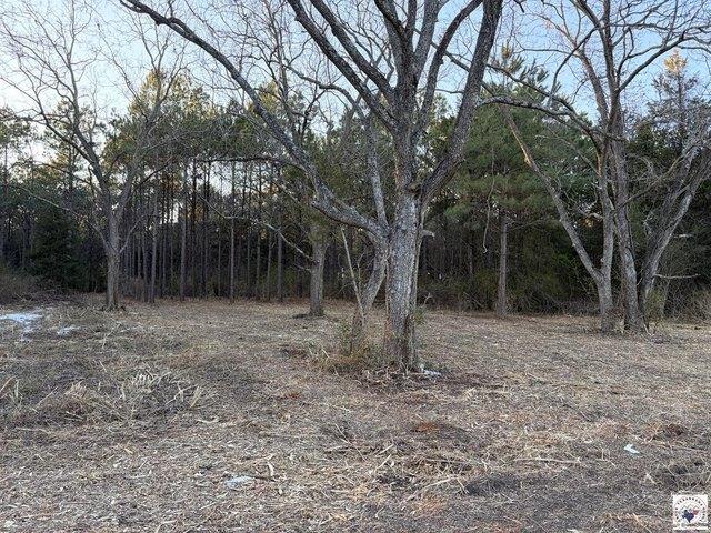Fm 250, Hughes Springs, TX 75568