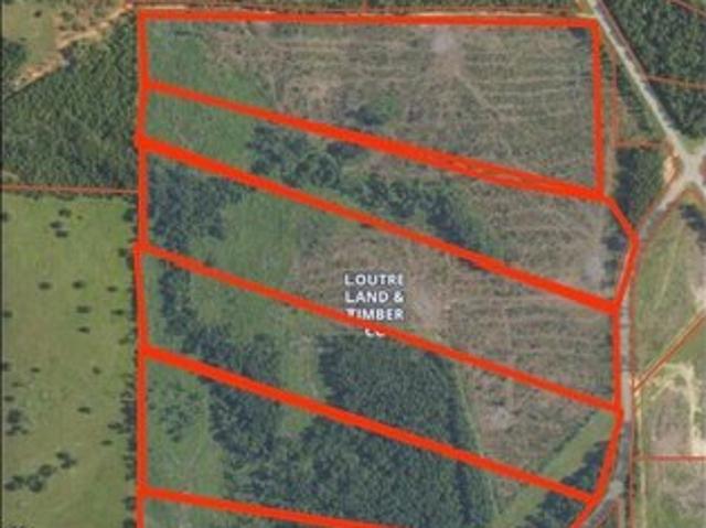 Fm 251 N, Bloomburg, TX 75556