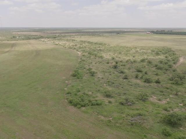 Fm 2596, Eldorado, TX 76936