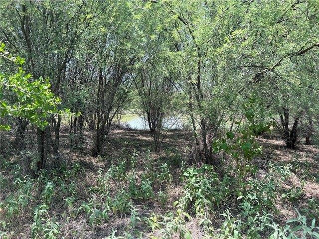 Fm 2687, Zapata, TX 78076