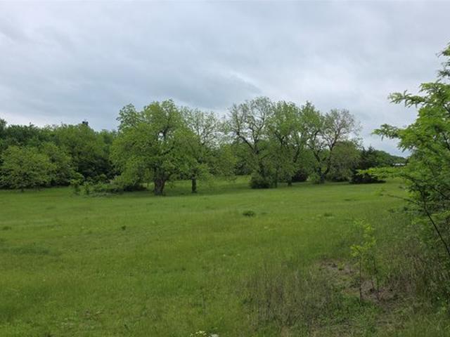 Fm 272, Celeste, TX 75452
