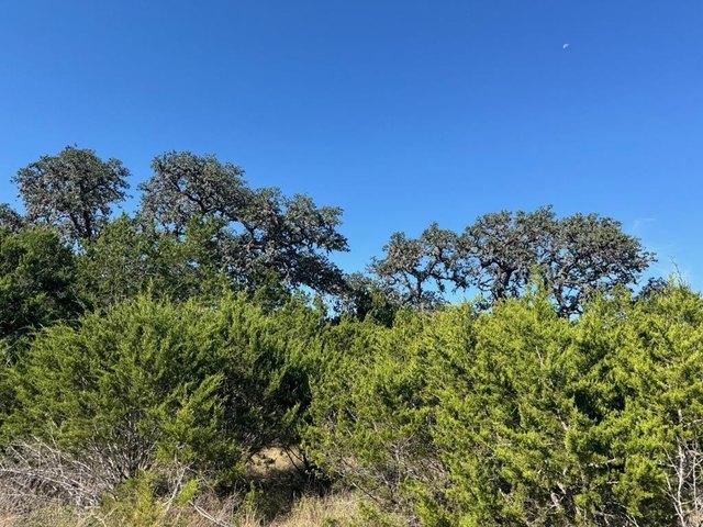 Fm 2828, Bandera, TX 78003