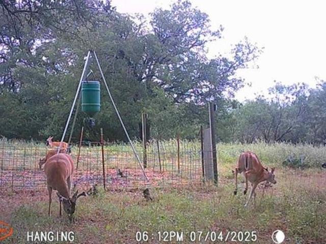 Fm 3023, Goldthwaite, TX 76844