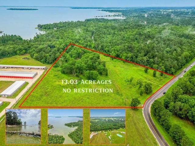 Fm 3126, Livingston, TX 77351