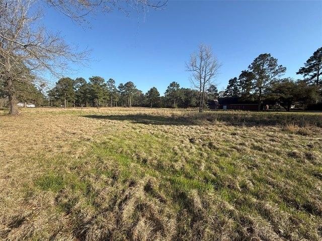 Fm 3126, Livingston, TX 77351