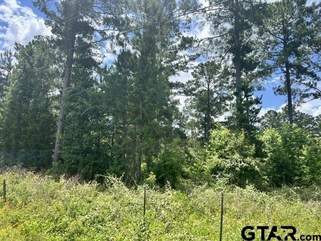 Fm 323, Palestine, TX 75801