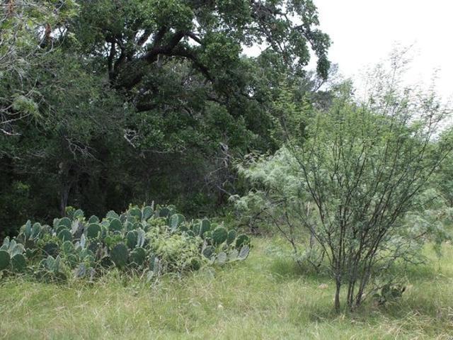 Fm 3353, Seguin, TX 78155