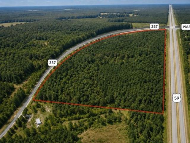 Fm 357, Livingston, TX 77351