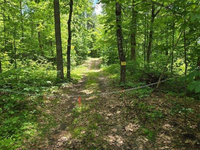 Fs 2564D, Remer, MN 56672