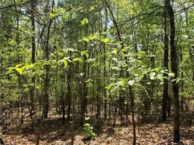 Fsr 1471, Clarksville, AR 72830