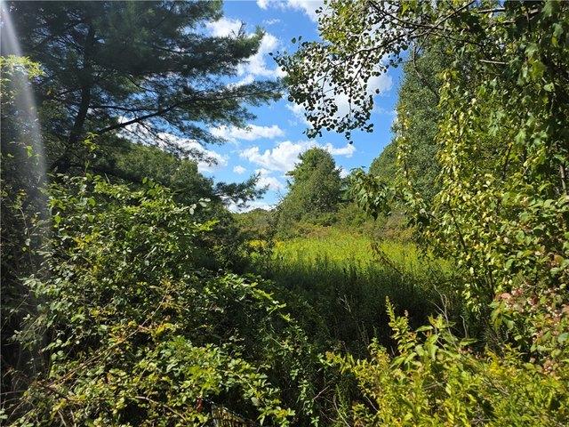 Frog Hollow Rd, Painted Post, NY 14870