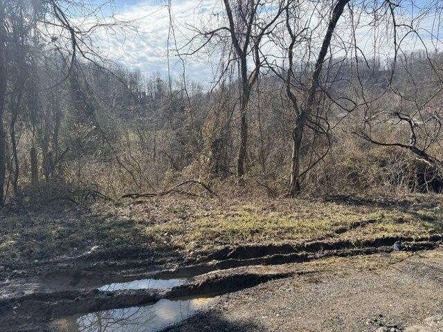 Frogs Creek Rd, Charleston, Plot For Sale