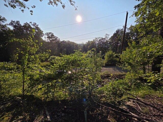 Front Of The Mountain Rd, New Milford, Plot For Sale