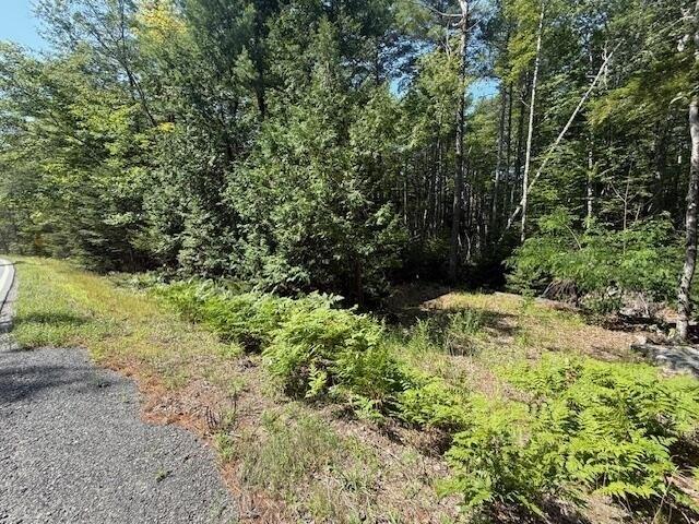 Front Ridge Rd, Penobscot, Plot For Sale