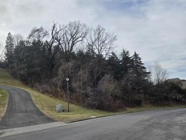 Frontier Way Lot 7, Fincastle, VA 24090