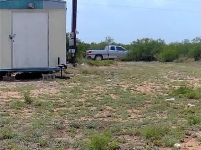 Frontier Dr, Freer, TX 78537