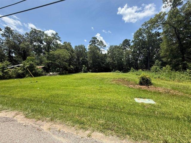 Frontier Rd Lots 15 & 16, Willis, TX 77378