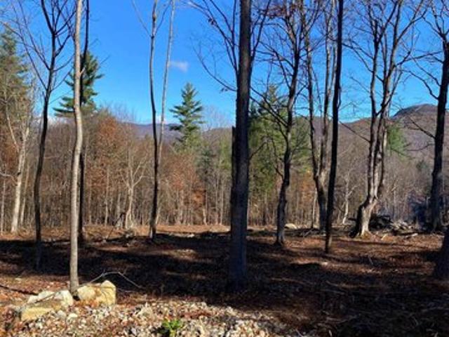 Frost Pond Rd Lot A, Dorset, VT 05251