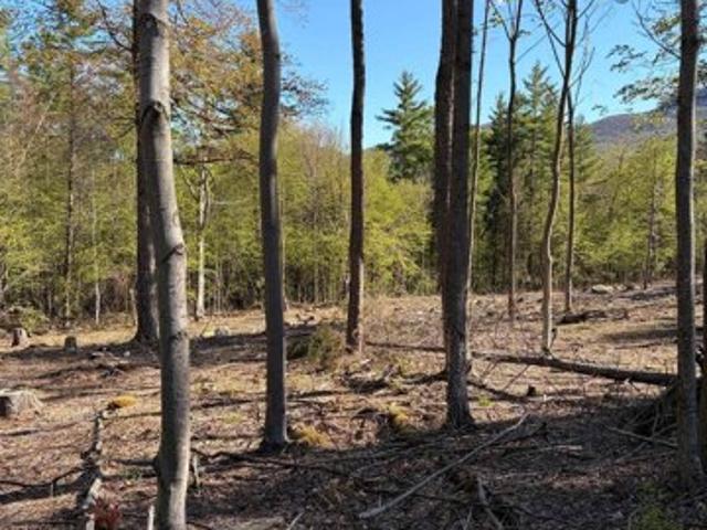 Frost Pond Rd Lot A, Dorset, Plot For Sale