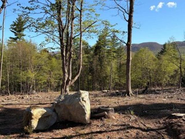 Frost Pond Rd Lot B, Dorset, Plot For Sale