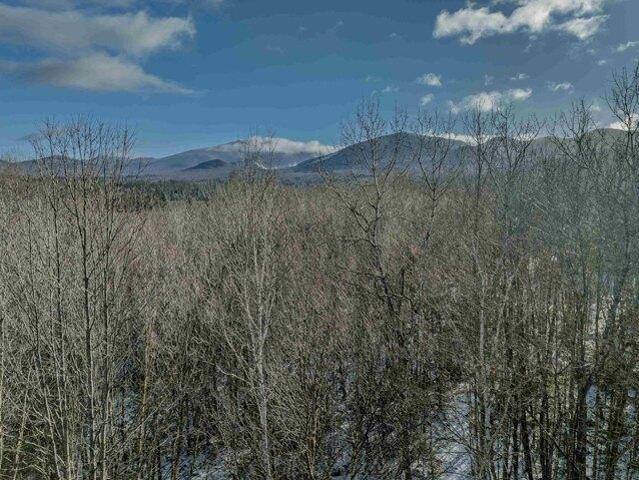 Franconia NH 03580 103018129