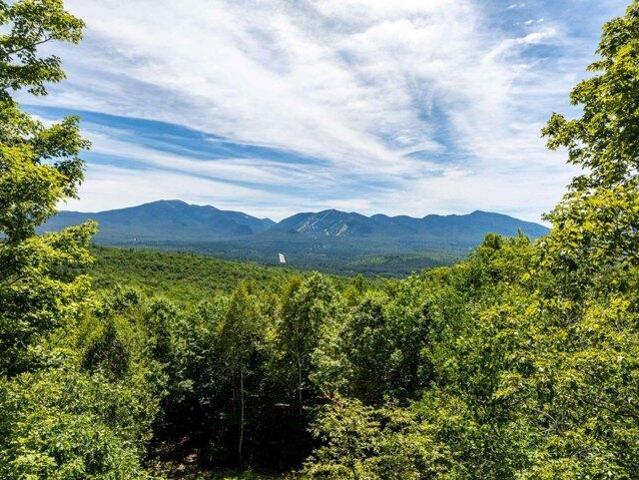Franconia NH 03580 LS101856247