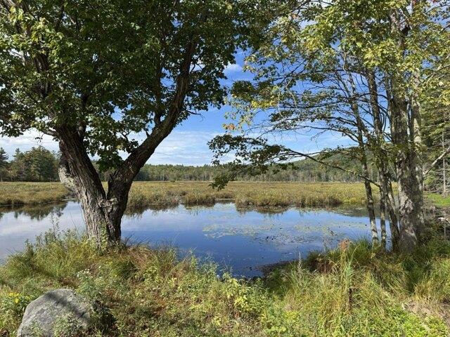 Francestown Rd, Greenfield, Home For Sale