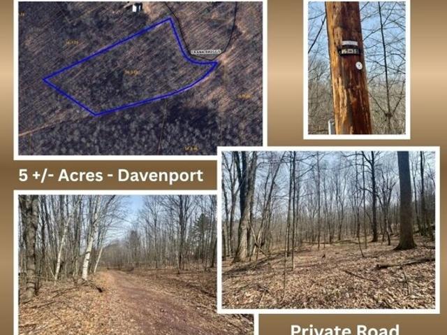 Frank Briggs Rd, Oneonta, Plot For Sale
