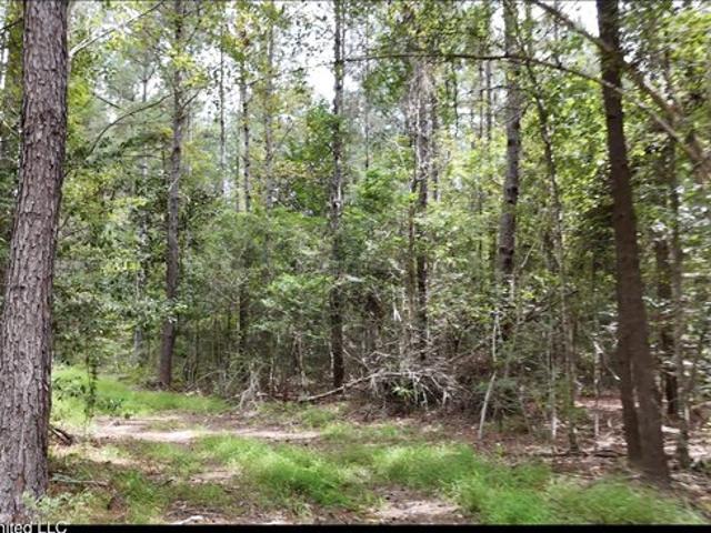 Frank Murphy Rd, Lucedale, MS 39452