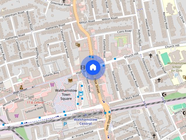 Frank Searle Passage London E17