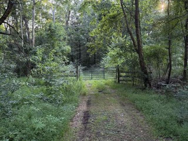 Frankfort Rd, Tuscumbia, AL 35674