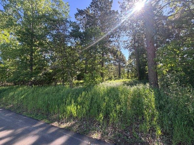 Franklin Ave, Park Rapids, MN 56470