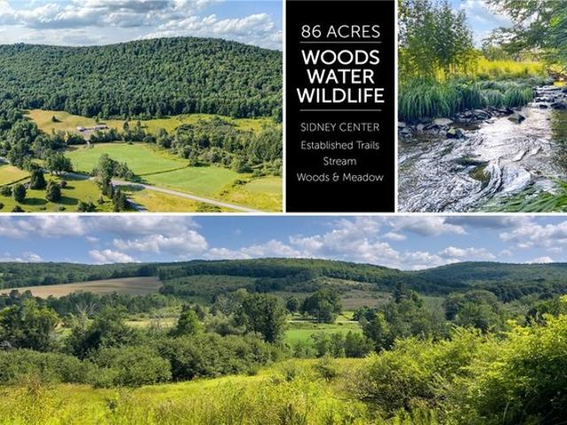 Franklin Depot Rd Lot 11, Sidney, NY 13838