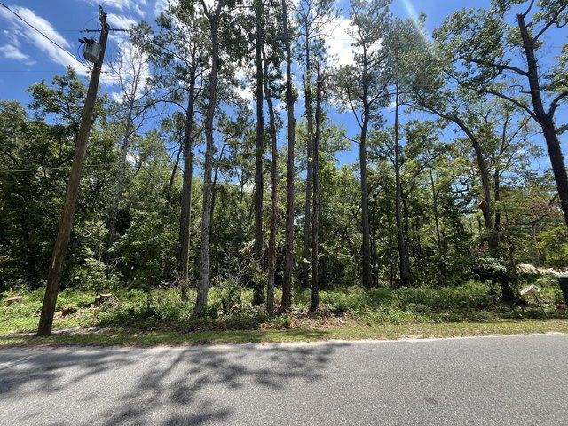 Franklin Dr, Crawfordville, FL 32327
