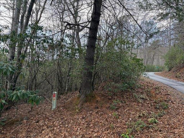 Ledford Branch Rd Lot 4, Franklin, NC 28734