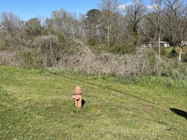 Franklin Rd Lot 1, Roanoke, AL 36274