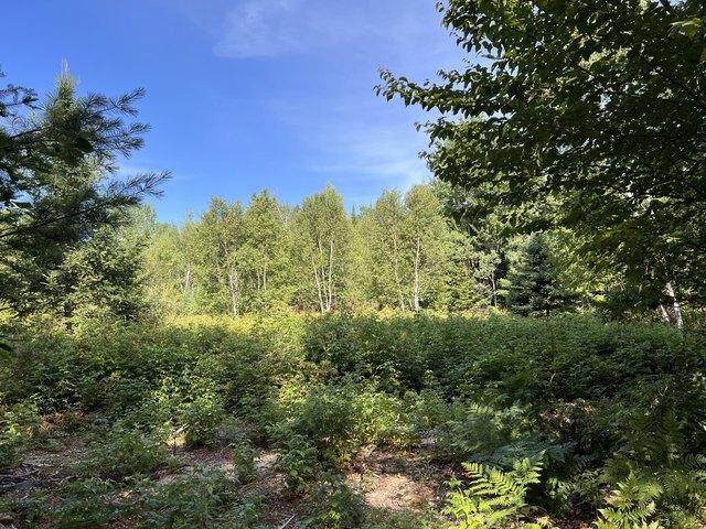 Franklin Realty Rd Lots 6 & 8, Haynesville, ME 04497