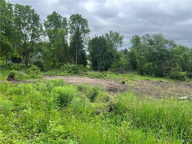 Franklin St, Homer, NY 13077