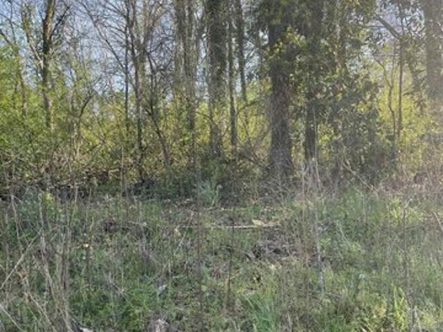 Franklin St Lot 4, Roanoke, AL 36274