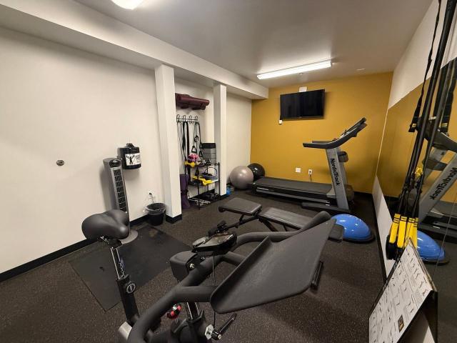Freya Apartments Studio Apartment for Rent at 8311 15th Ave Nw, Seattle, WA 98117 Loyal Heights
