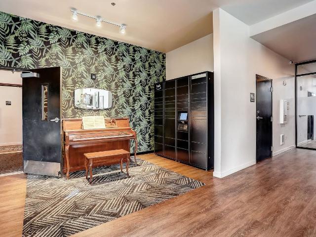 Freya Apartments Studio Apartment for Rent at 8311 15th Ave Nw, Seattle, WA 98117 Loyal Heights