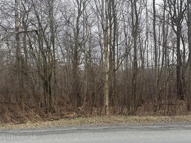Freytown Rd, Covington Township, PA 18424